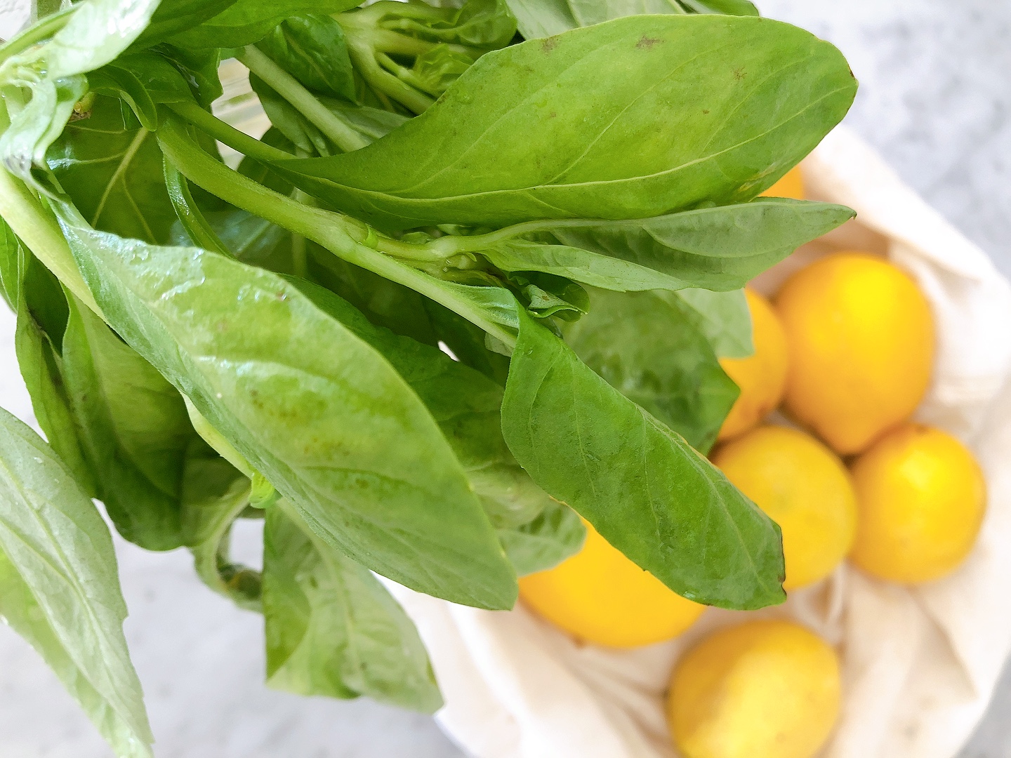 Gelée de Basilic – Amoureuse d'une tarte au citron